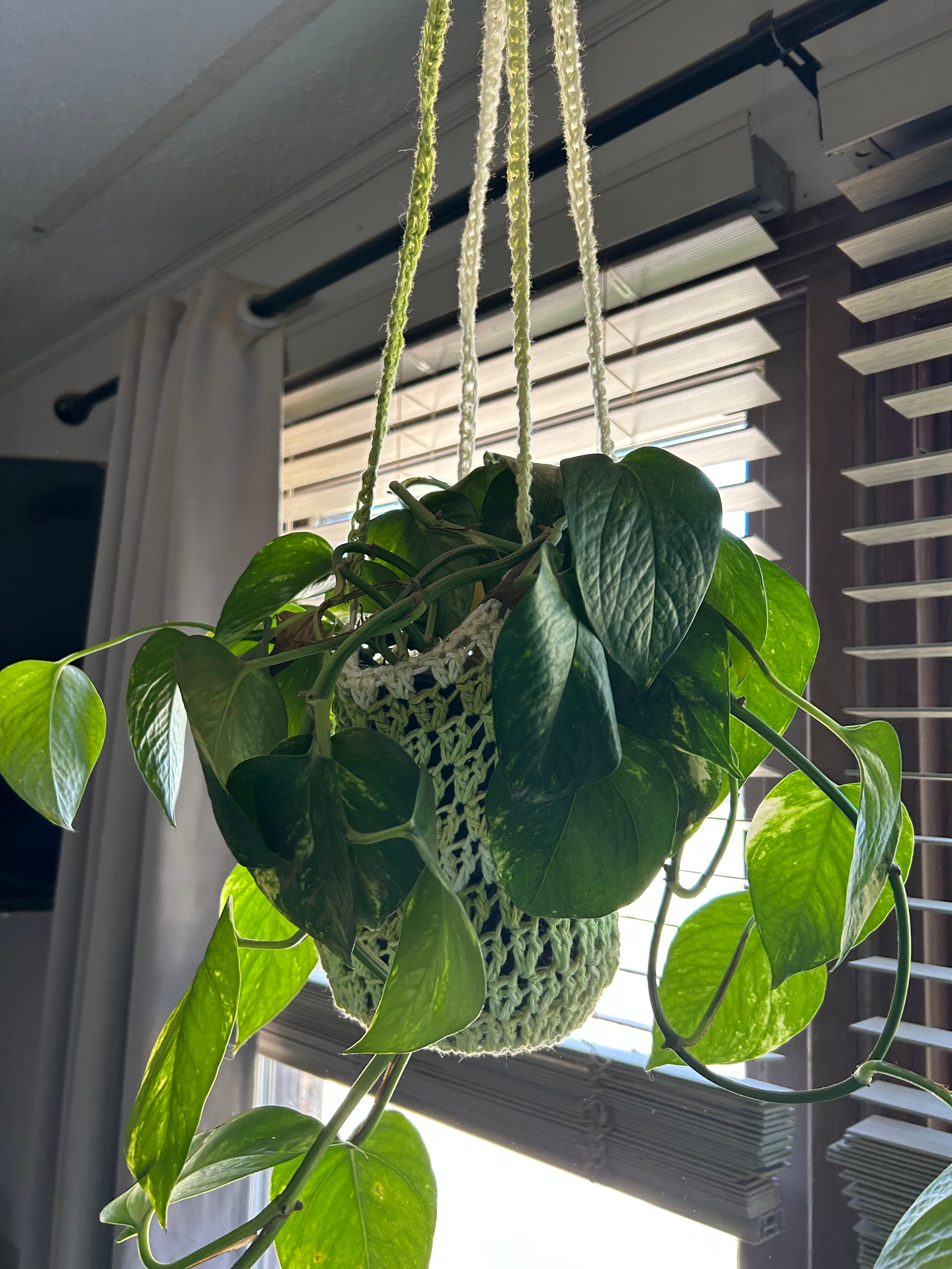 Crocheted Plant Hangers – Smitty's Designs